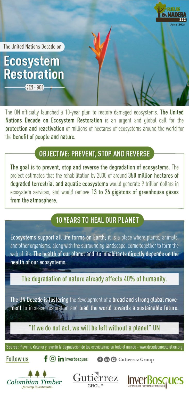 The UN Decade on Ecosystem Restoration - Colombian Carbon Credits